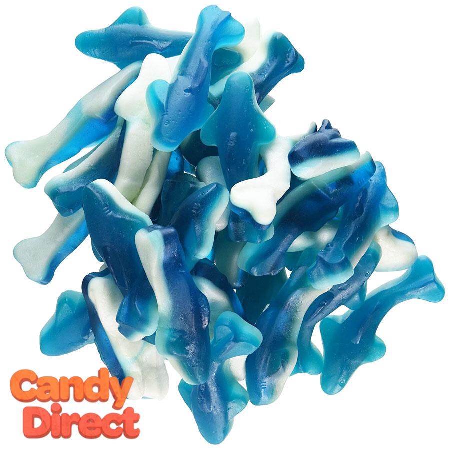 Gummi Blue Sharks w White Belly - 6.6lb | CandyDirect.com